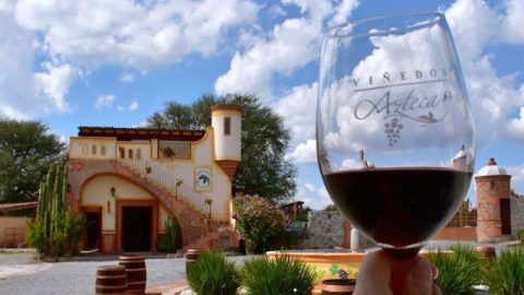 20 of the Best Wine Regions of the World